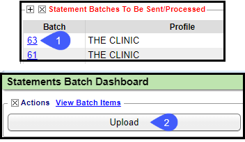 Manually Batch and Upload Statements